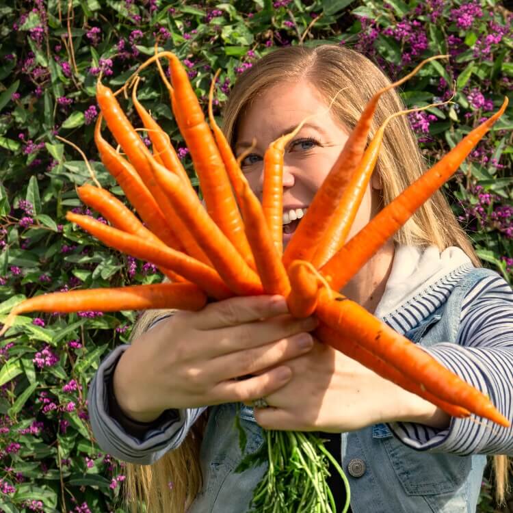 Intentional Living: A Guide To Quieting The Carrot-Chasing Ego - Amy ...